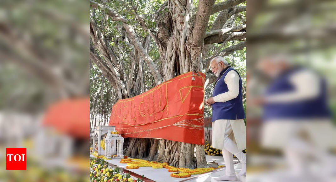 ‘Jahangir had cut down Akshayavat tree;however, it still continued to ...