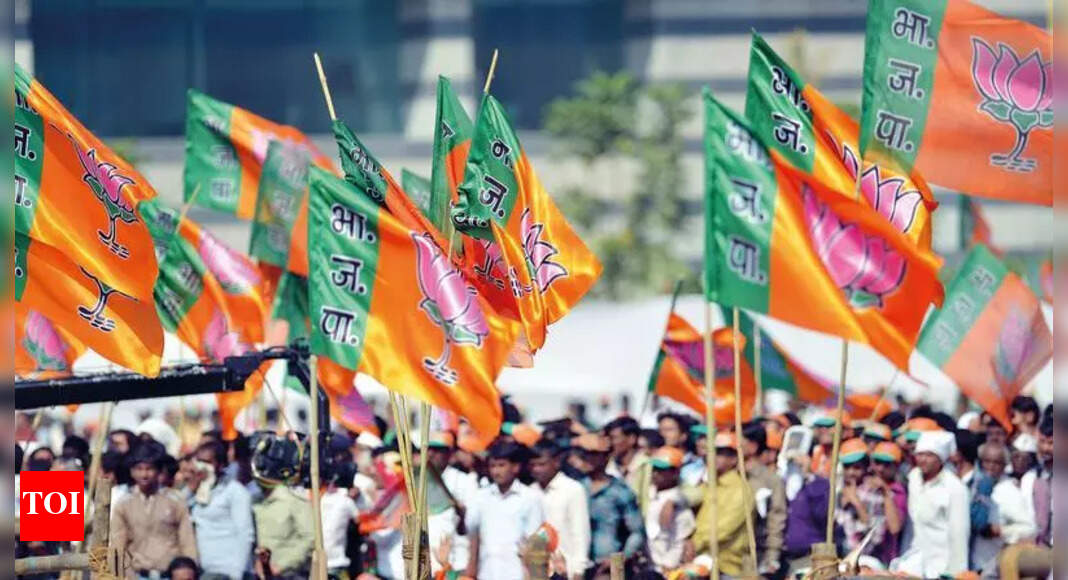 Attendees at BJP convention must enrol 250 members each | Mumbai News ...
