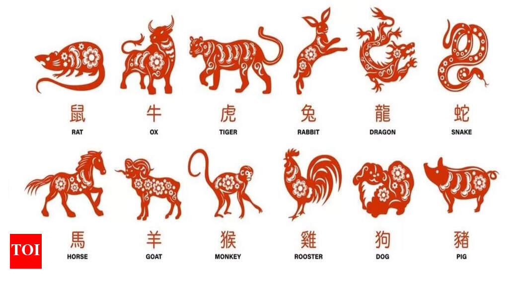 Chinese Zodiac Signs 2025: Zodiac Signs That Are Set for Success in the ...
