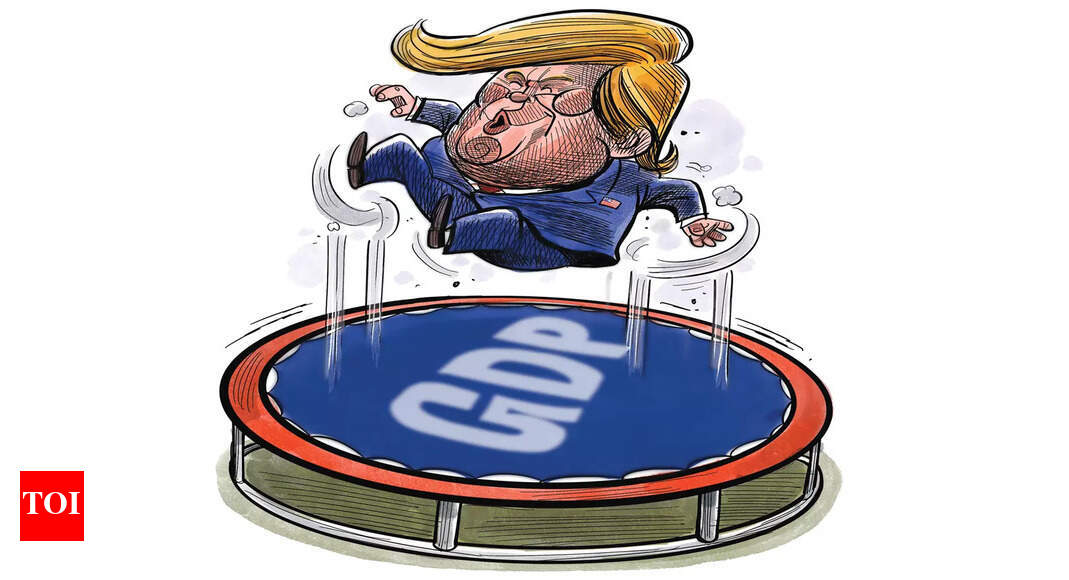 Next, Trumpoline Economy - The Times of India