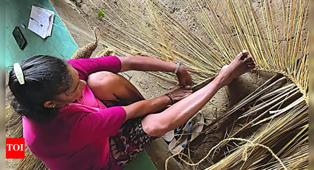 Traditional, sustainable Goan broom to make case for GI tag | Goa News ...