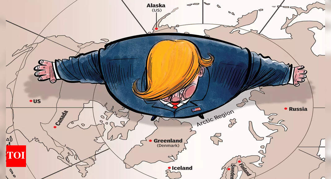 MAGA Carta For Trumpistan - The Times of India
