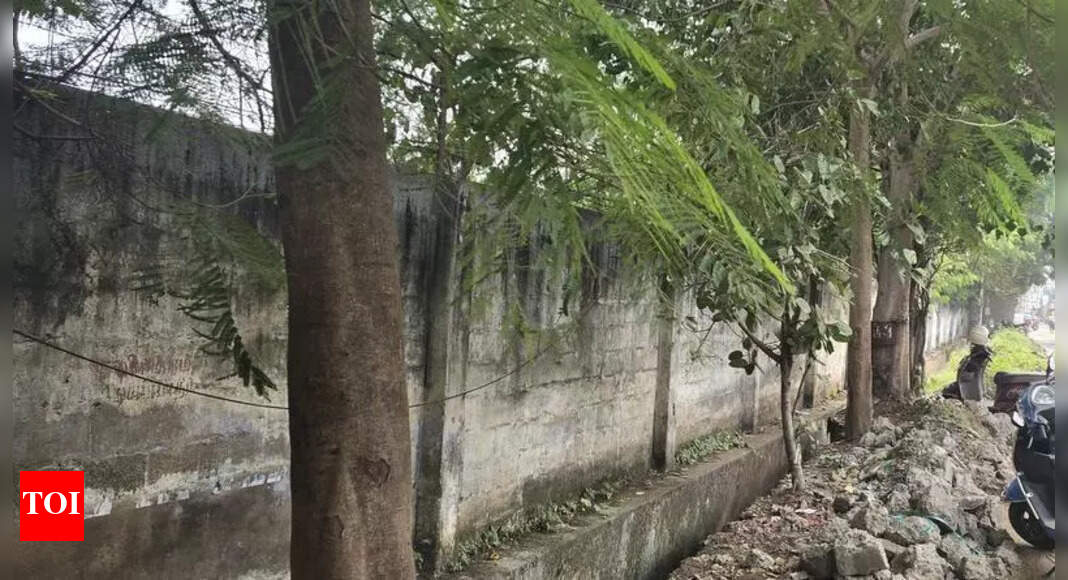 Trees planted in tribute to Kalam face threat amid drain redevelopment ...