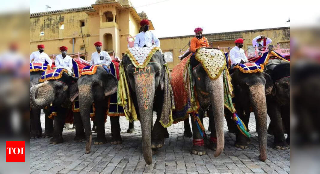 Elephant ride at Amber Fort set at 1.5k with 5% yearly increment ...