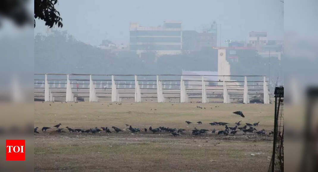 Temperature goes below 10°C in 21 districts | Patna News - The Times of ...
