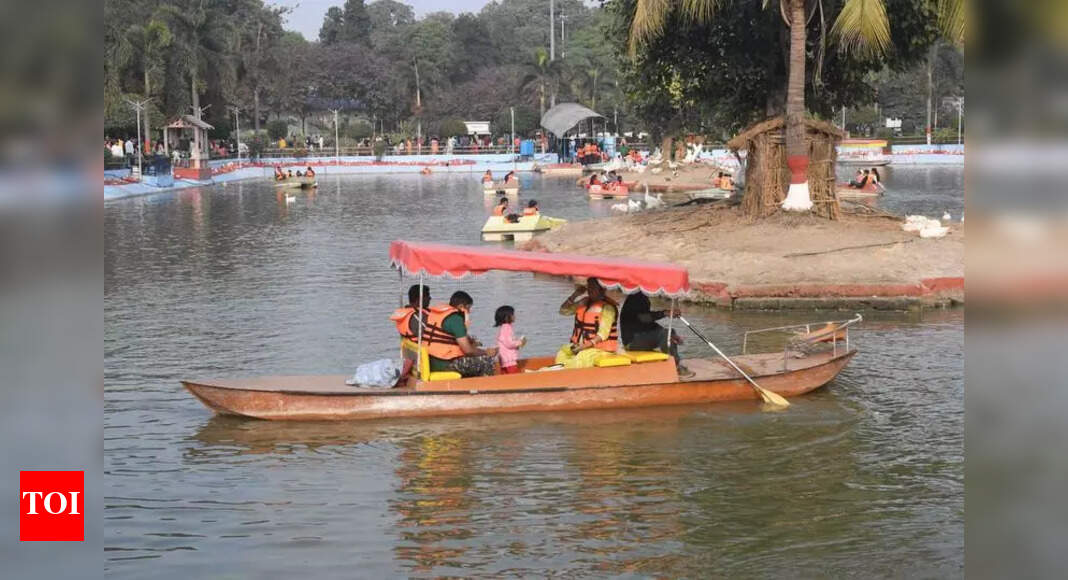 Temp rise brings relief from extreme cold | Patna News - The Times of India