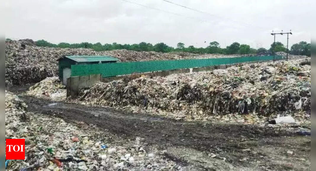 Waste disposal, flood risks key issues in Haldwani municipal elections ...