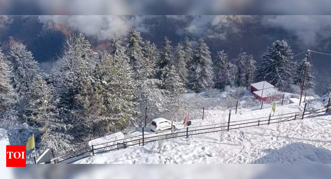 Cold wave grips state as foothills receive snow, plains lashed by rain ...