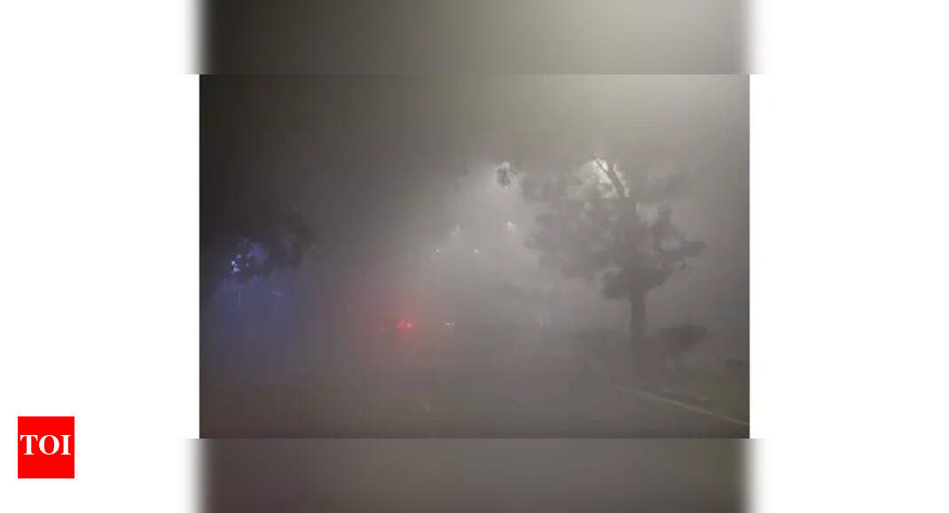 Fog delay: Morning trains, flights affected | Chandigarh News - The ...