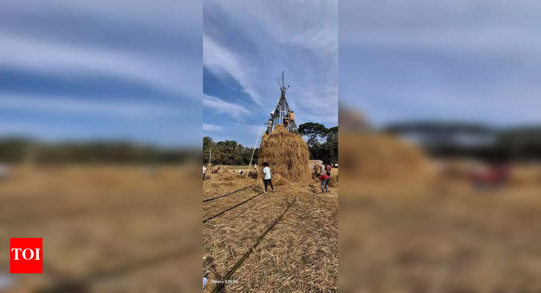 Bhela ghar themes rev up Bihu celebrations in Assam villages | Guwahati ...