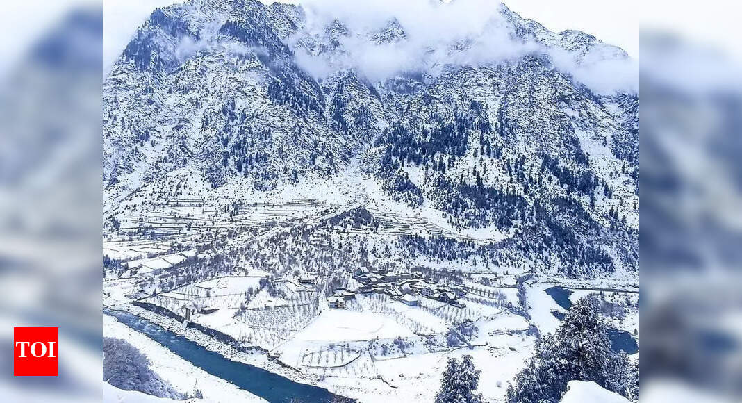 A cold & wet Sunday: Punjab, Haryana get 60% more rain than normal ...