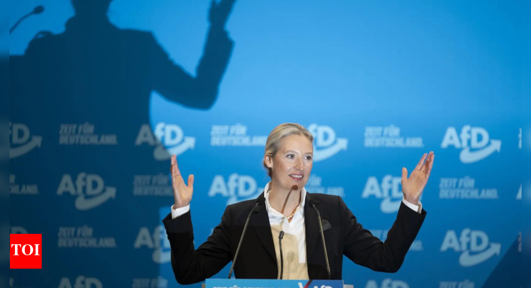 Fact check: AfD head called Hitler 'communist.' He was not - The Times of India