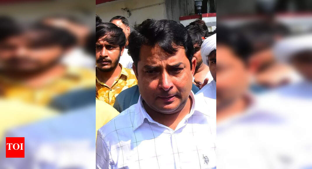 Naresh Meena acquitted in an old assault case | Jaipur News - The Times ...