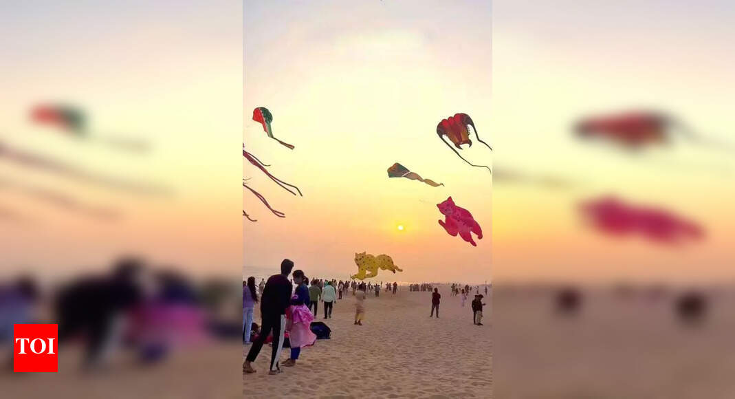 Experts call for designated kite-flying zones to prevent manja injuries ...