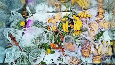 Here's why this Hampi temple banned bananas | Bengaluru News - The ...