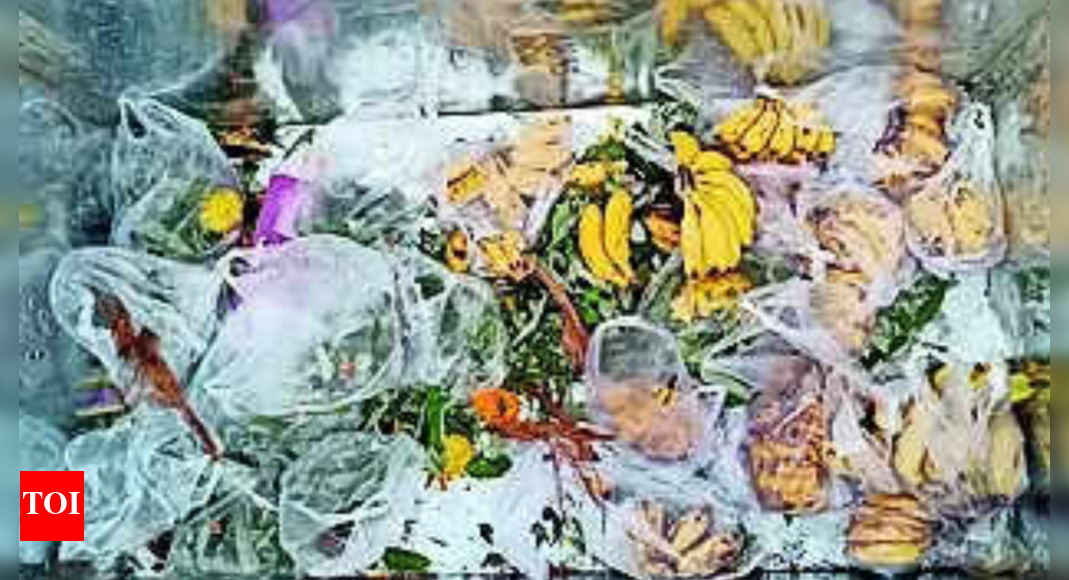 Here's why this Hampi temple banned bananas | Bengaluru News - The ...