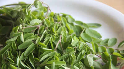 Malunggay Leaves