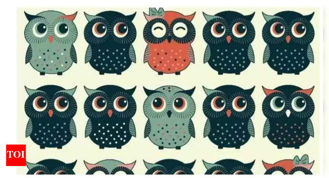 Optical illusion: Only those with sharp vision can spot the odd Owl in ...