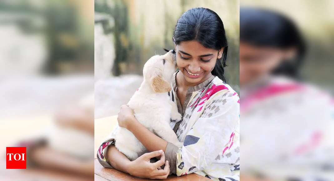 Want unconditional help & love? Get a dog | Ranchi News - The Times of ...