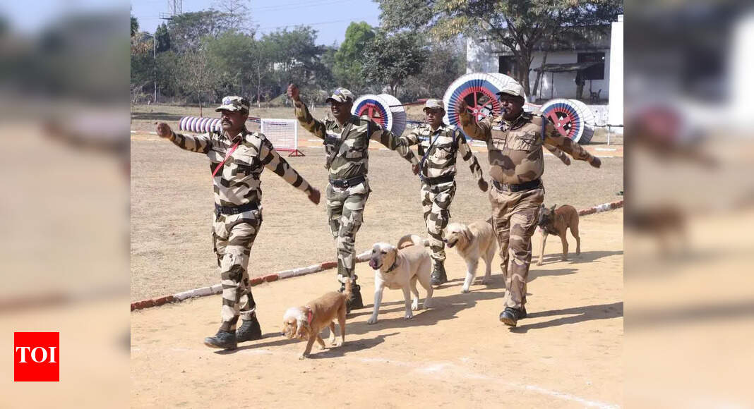 Dogs: From Healing Humans to Protecting Them | Ranchi News - The Times ...