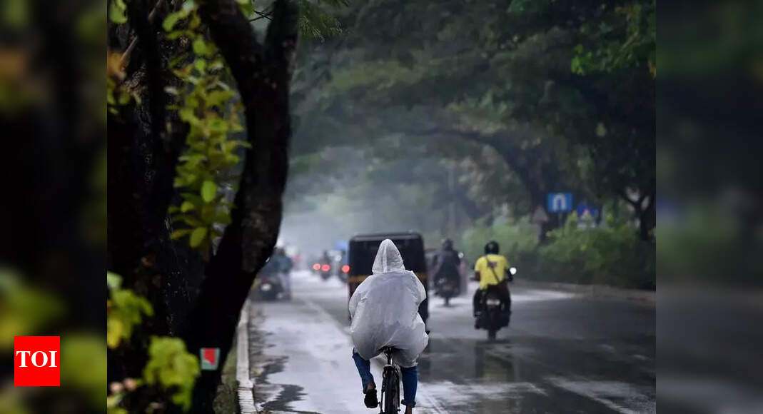 Extended monsoon: Expect light rain today | Chennai News - The Times of ...