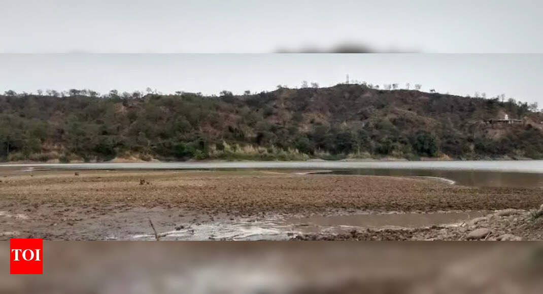 Punjab & Haryana HC asks Union ministry to decide on plea to de-silt ...