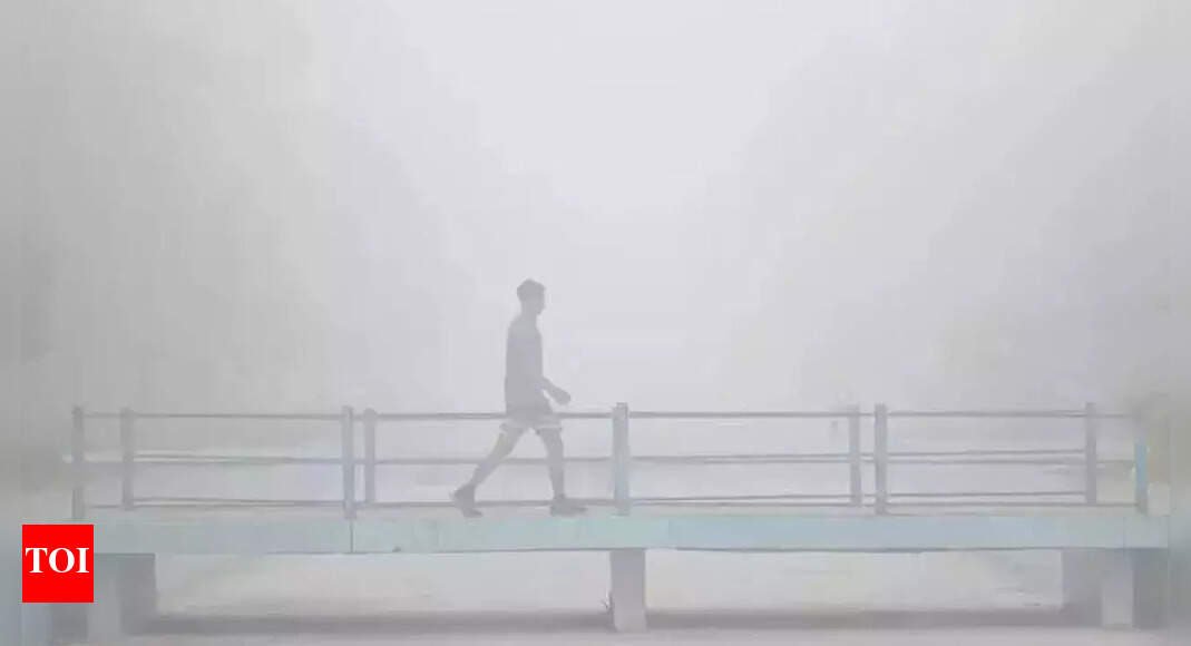 Dense fog likely today in Gurgaon, rain to add to chill too, says IMD ...