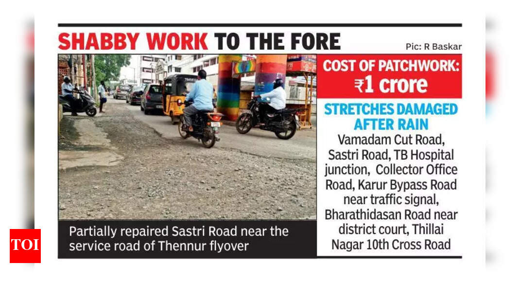 Rain lays bare poor road patchwork in Trichy | Trichy News - The Times ...