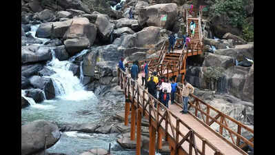 Stuck since 2023, govt takes steps to set up eco-retreat in Netarhat ...