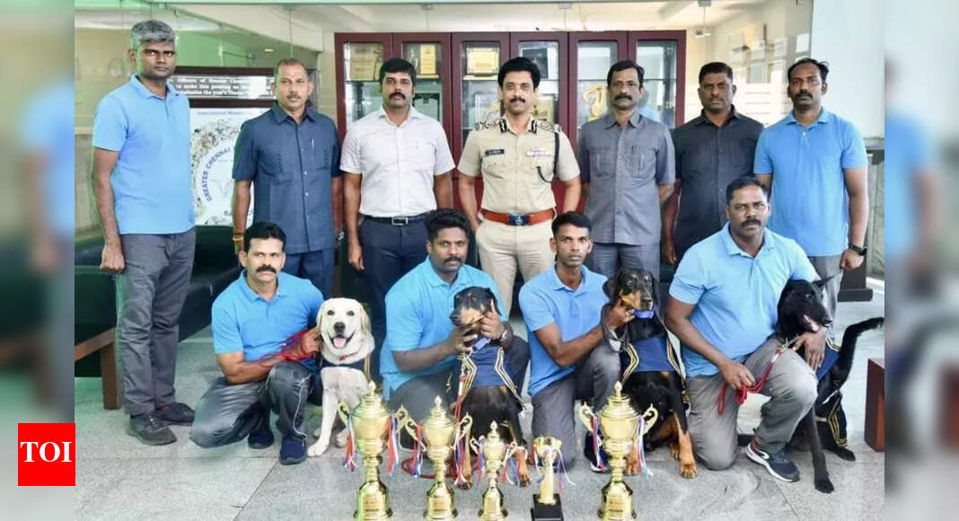 Five sniffer dogs triumph at obedience contest, bag medals | Chennai ...