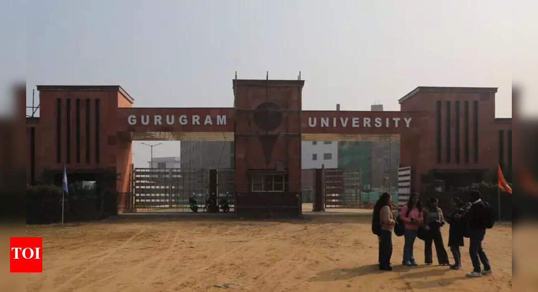 Central library to hostels: Gurugram University sets year-end deadline ...