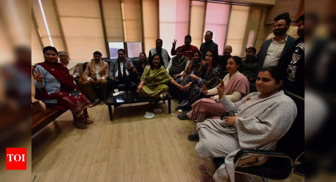 AAP central leadership to pick mayor face | Chandigarh News - The Times ...
