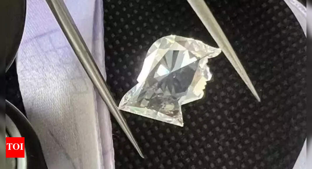 Donald Trump Face Diamond: Surat firm designs unique diamond shaped ...
