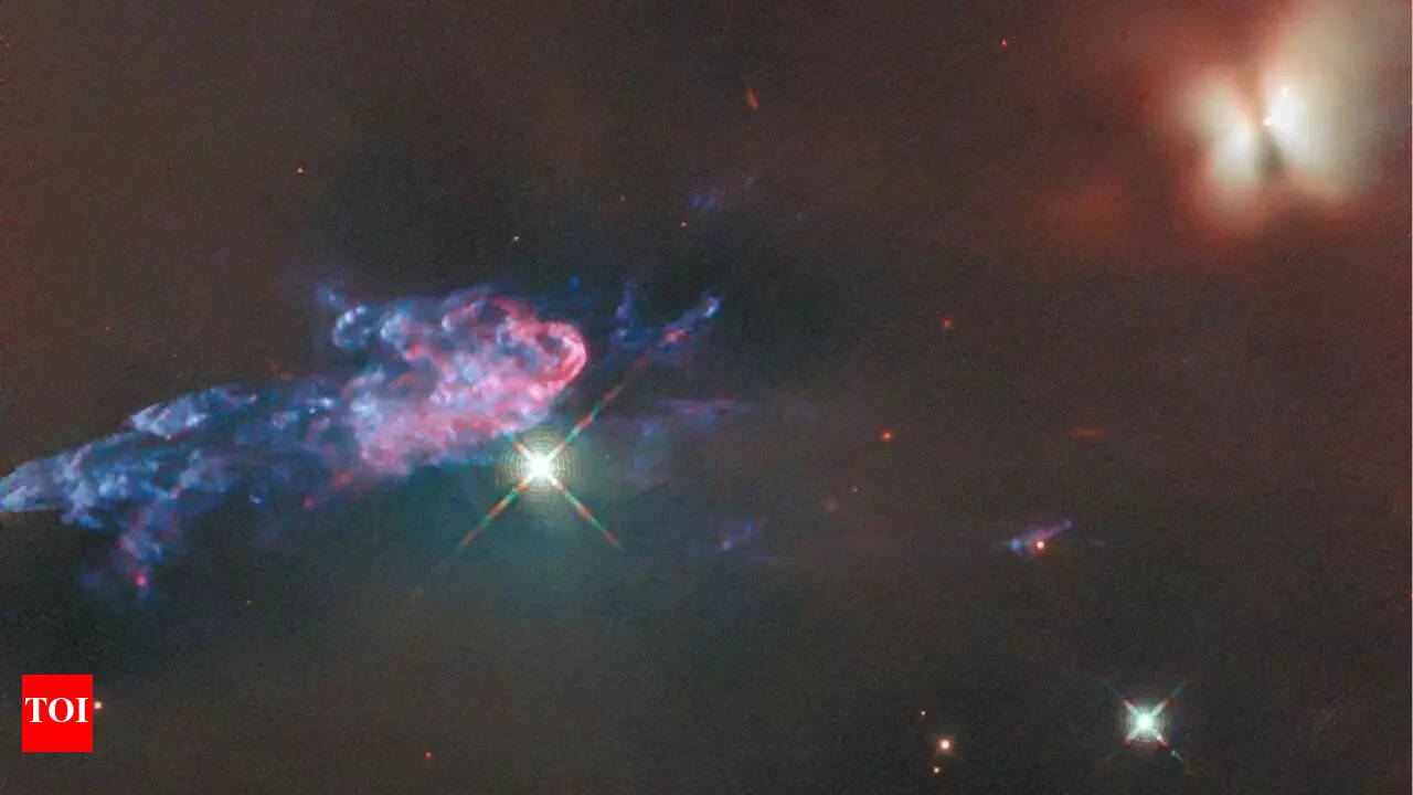 Orion Nebula Hubble The Orion Nebula (M42) Is A Starry Nursery