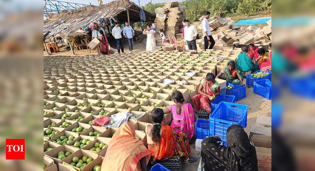 Bihar Farmers Earn Lakhs Through Cluster Farming | Rural Agricultural ...