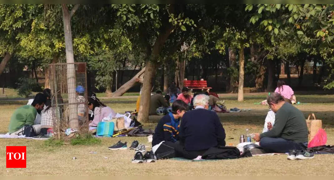 Sun brings brief relief from chill, but rain likely today in Gurgaon ...