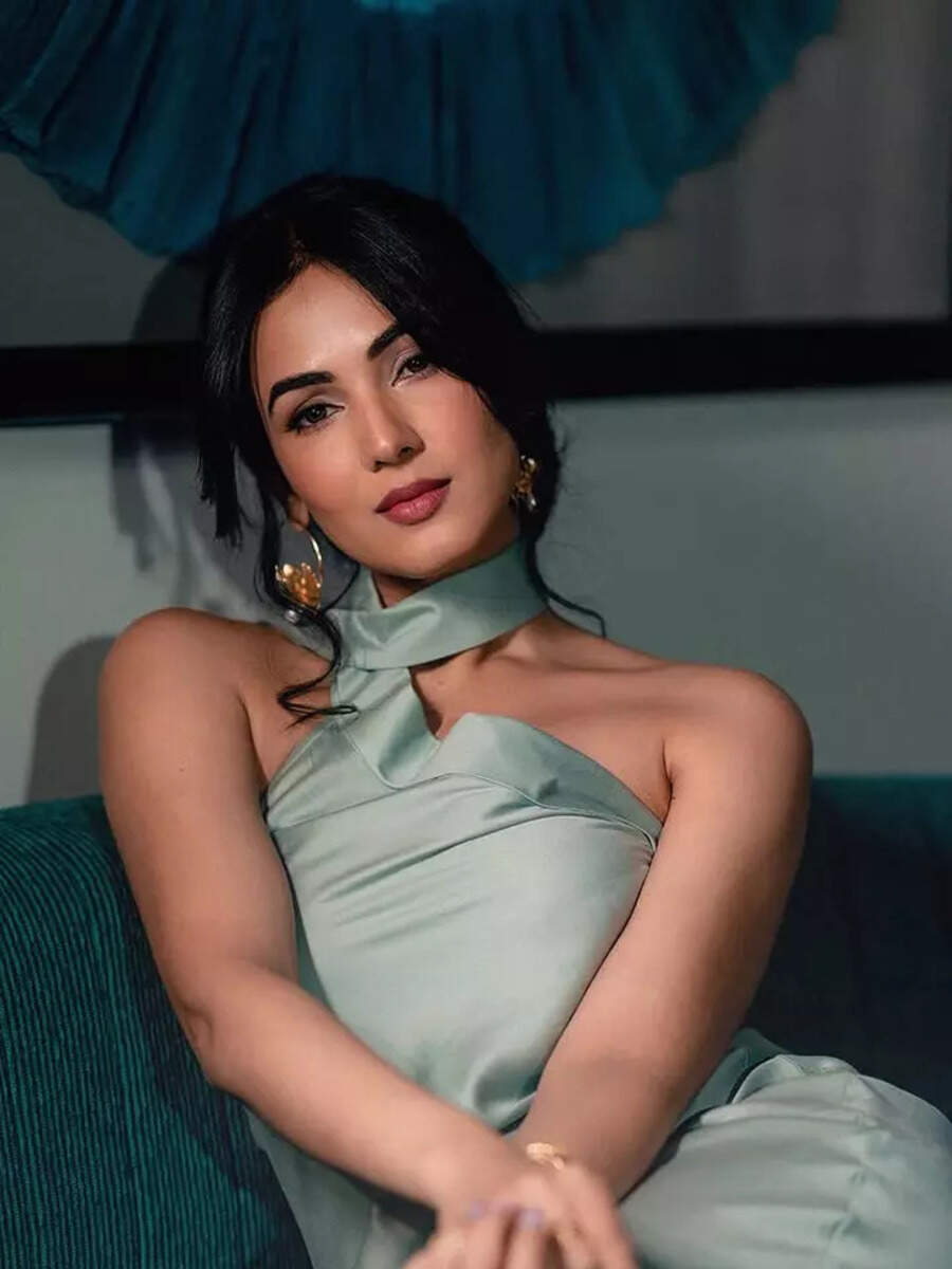 Sonal Chauhan's edgy pastel gown redefines classy partywear | Times of ...