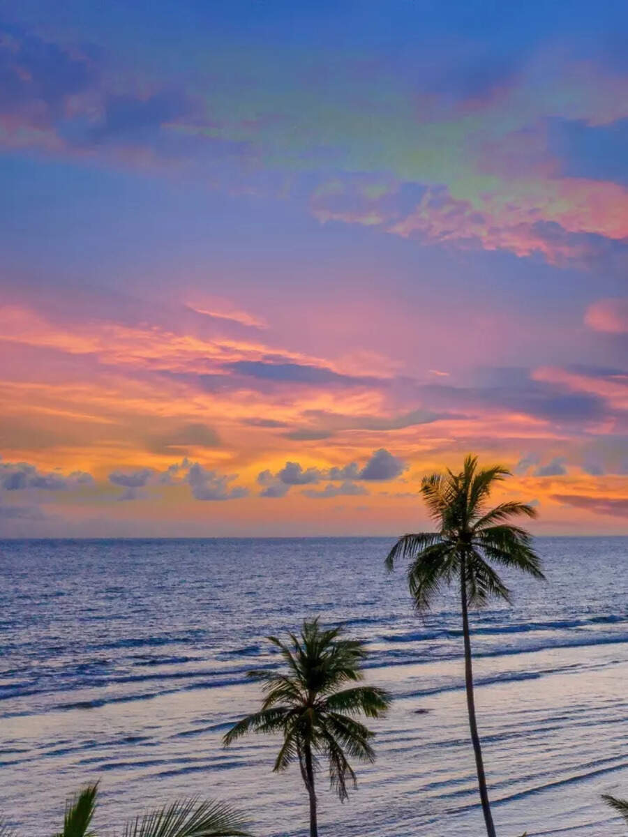 Goa: 10 things we love the most about Goa | Times of India