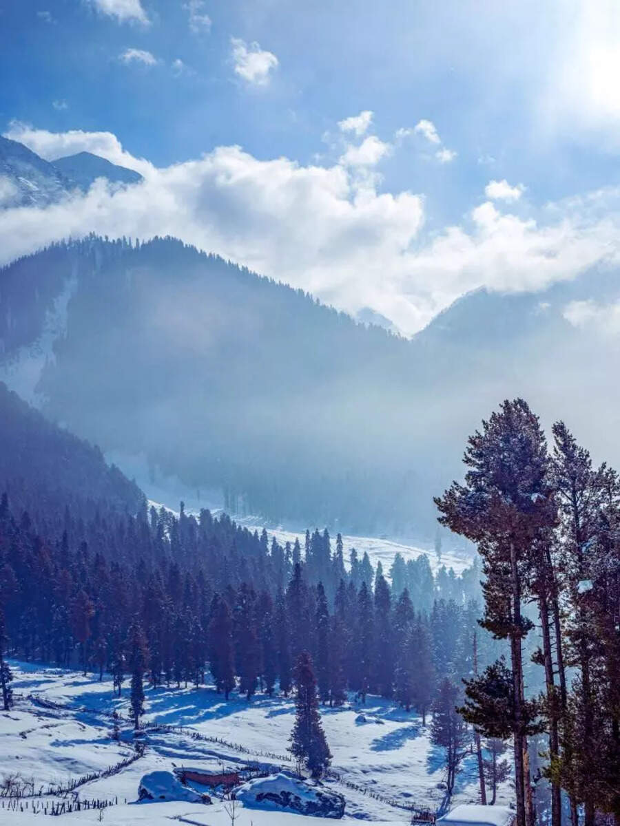 8 places in India where one can witness snow in February | Times of India