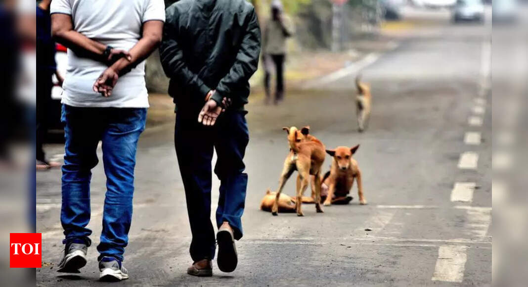 MC dog control plan lacks teeth | Ludhiana News - The Times of India