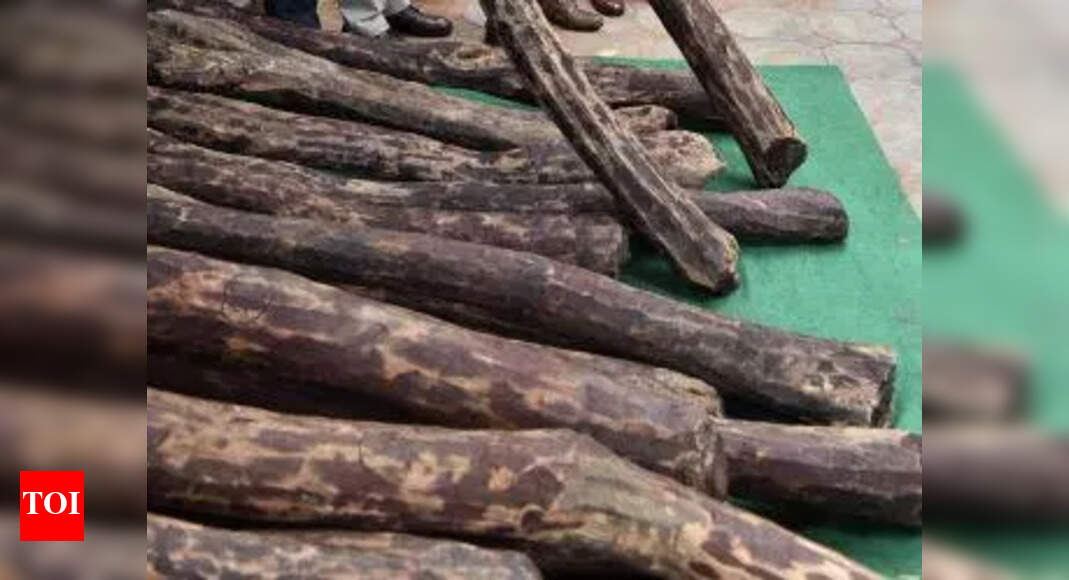 RS logs worth 4.5 cr seized, 3 peddlers held | Vijayawada News - The ...