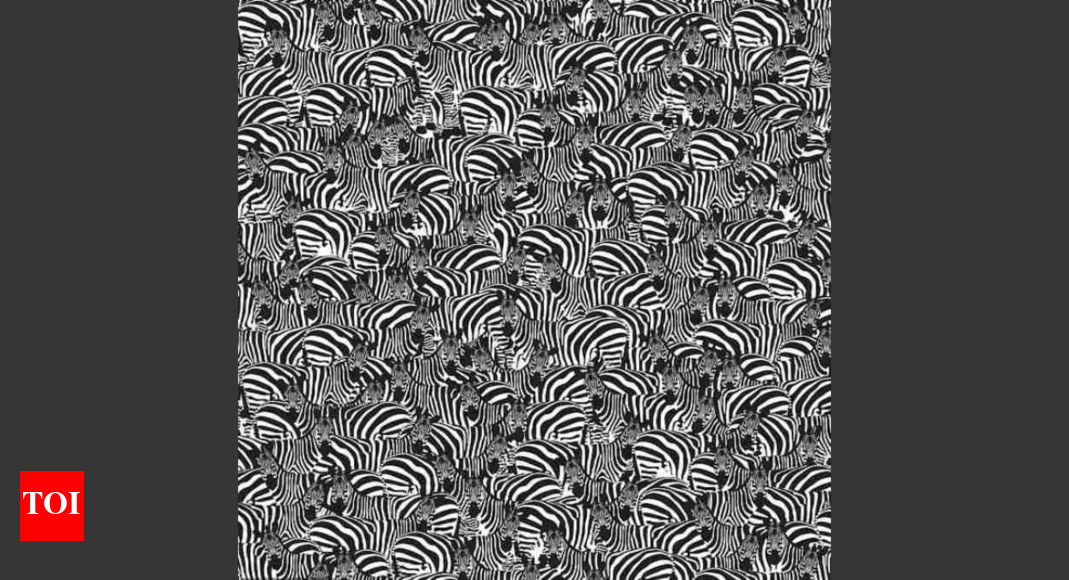 Optical illusion: There's a piano hidden among these zebras, can you ...