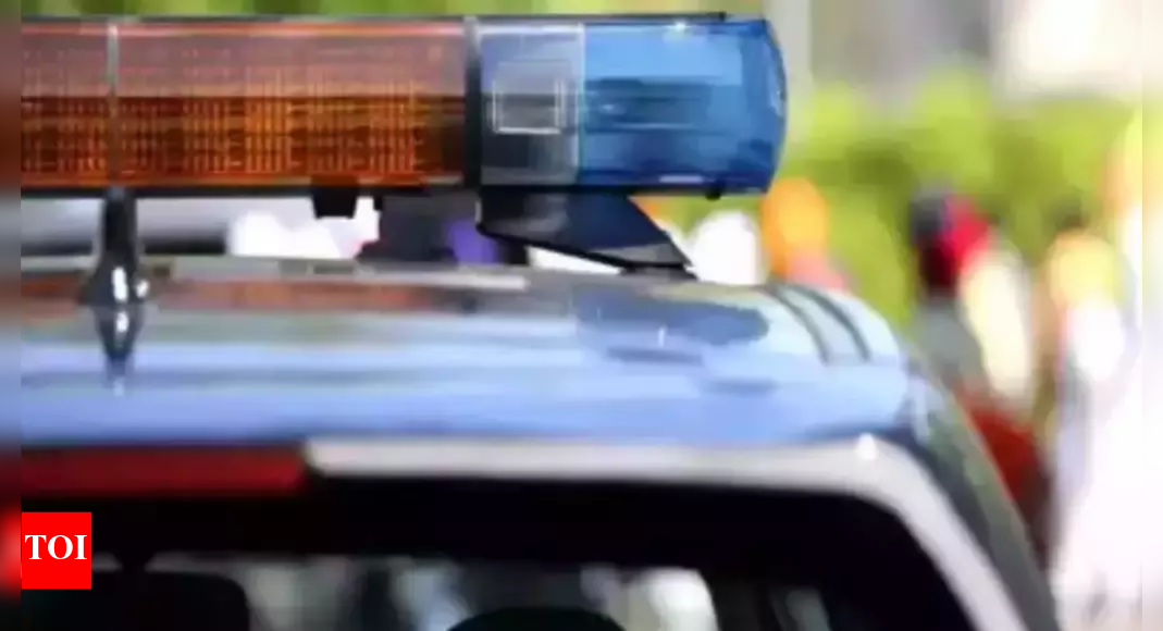 6 booked after discarded firecrackers kill dog in Gujarat | Rajkot News ...