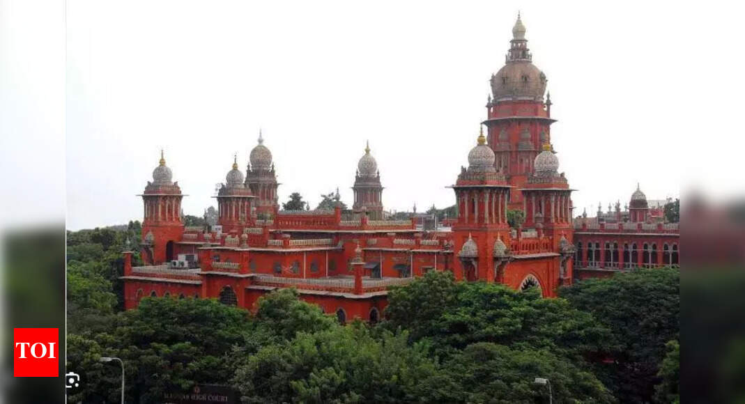 Vengaivayal case: Probe completed | Chennai News - The Times of India