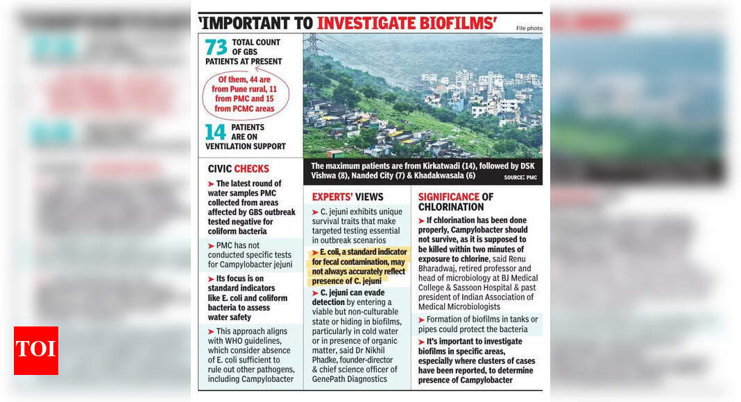 Guillain Barre Syndrome: 2 pvt hospitals in Pune detect C. jejuni in ...