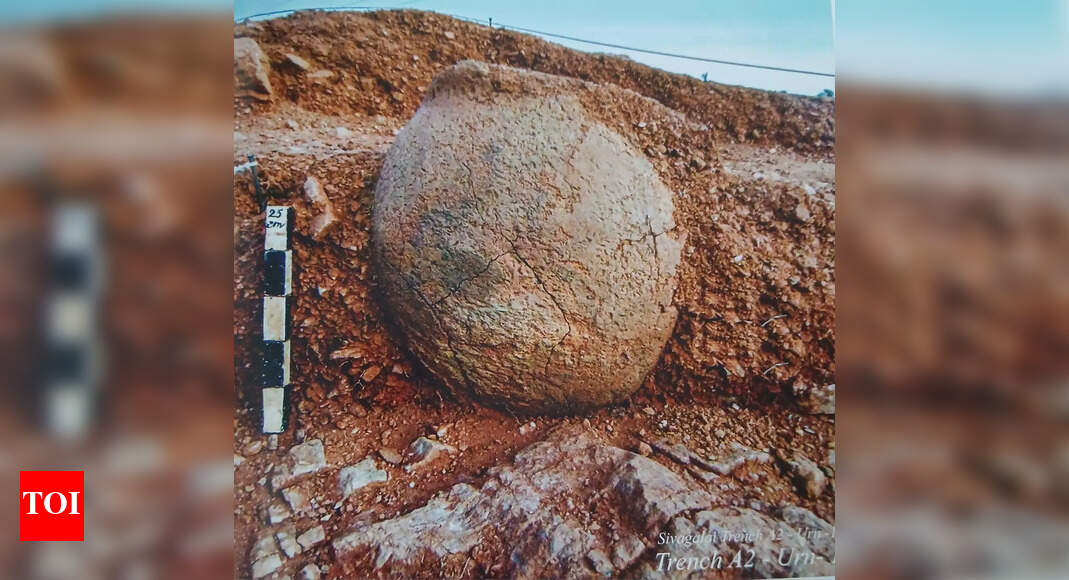 The urn that kept a 5,000-year secret | Chennai News - The Times of India