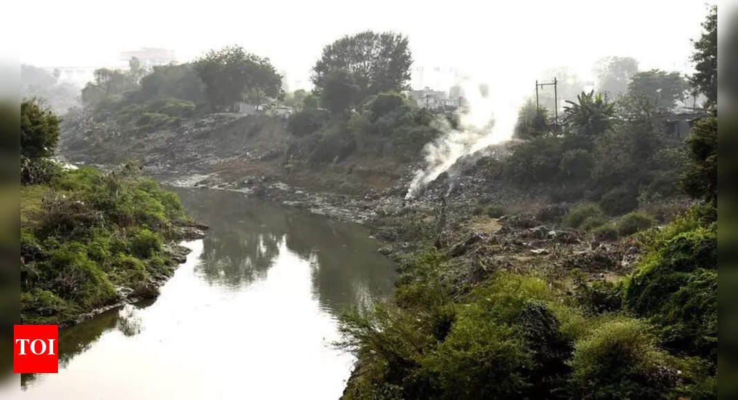 VMC wants mining royalty on dredged silt waived | Vadodara News - The ...