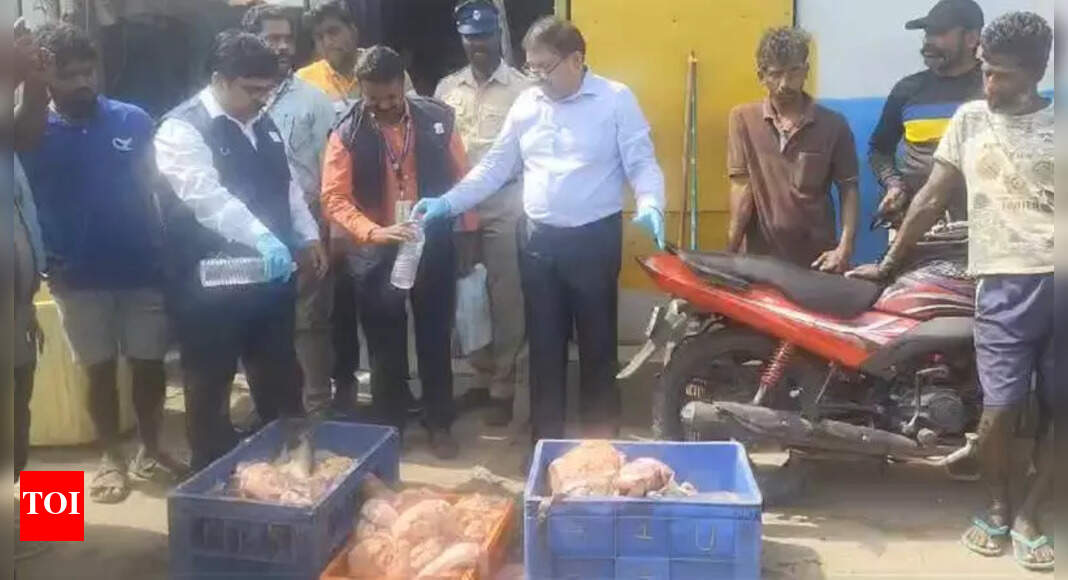 350kg of stale fish seized at Kasimedu market | Chennai News - The ...