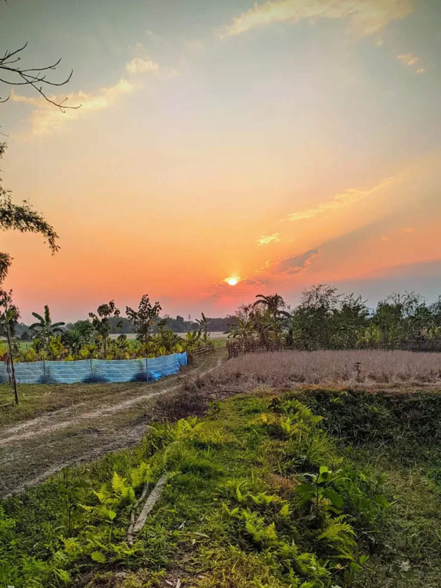 10 top destinations in Assam perfect for adventure seekers | Times of India