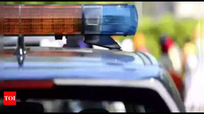 Mathura Trans Marriage: Missing woman from Jaipur found in Mathura ...